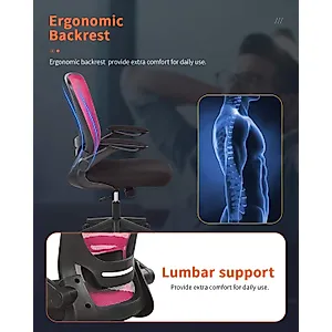 Home Office Chair Ergonomic Desk Chair Mesh Computer Chair with Lumbar Support Flip-up Arms Swivel Rolling Executive Task Chair Adjustable Chair for Adults(Pink)