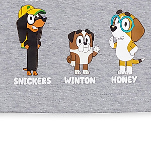 Bluey Bingo Little Girls 2 Pack T-Shirts Blue/Grey 7-8