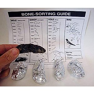 Mountain Home Biological, Inc. Jumbo Owl Pellets, Pack of 5, with Bone Sorting Sheet