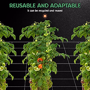 Seedfactor 5 x 30 ft. Plant Trellis Netting, Heavy-Duty Polyester Grow Net, Garden Trellis Netting with Square Mesh for Climbing Plants, Vegetables, Fruits, and Flowers, 1-Pack