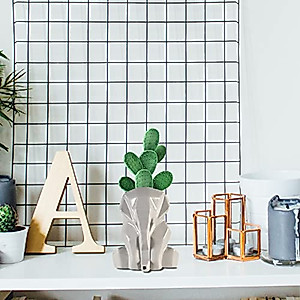 LUMI Small Succulent Pot with Drainage (6.3 Inches) - Cute Ceramic Pots for Flowers, Bosnai and Cactus -Planter for Indoor Plants - Nice Home Decor Idea