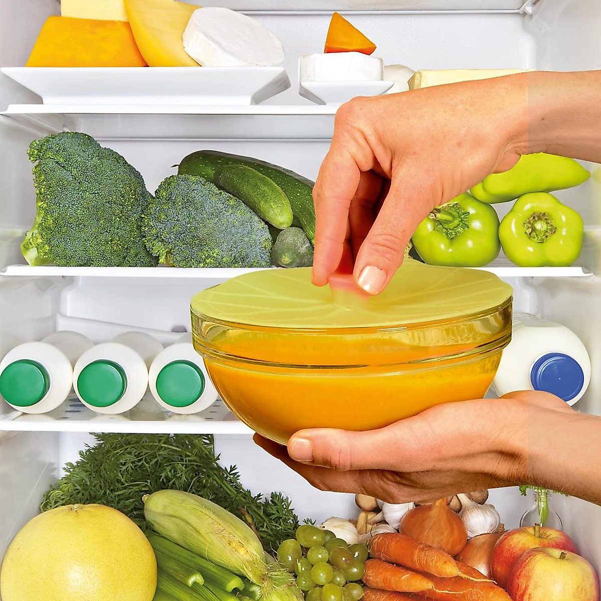 Charles Viancin - Lilypad Lid Gift-Box - Set of 4 Silicone Lids for Food Storage and Cooking - 11''/28cm + 9''/23cm + 6''/15cm + 4''/10cm - Airtight Seal on Any Smooth Rim Surface