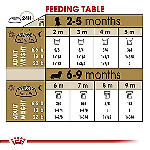 Royal Canin Breed Health Nutrition Dachshund Puppy Dry Dog Food, 2.5 lb
