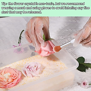 Eazy2hD Silica Gel Flower Drying Crystals Desiccant 5LBS with Sealed Container & Gloves for Wedding Flowers Bouquet Preservation Kit