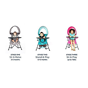 Baby Delight Go with Me Venture Portable Chair | Indoor and Outdoor | Sun Canopy | 3 Child Growth Stages | Teal