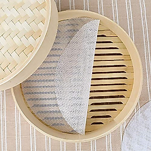 LadayPoa 10Pcs 12 inch Reusable Round Silicone Steamer Liners Non-stick Silicone Steamer Mesh Mat Pad Dim Sum Mesh for Home Kitchen or Restaurant
