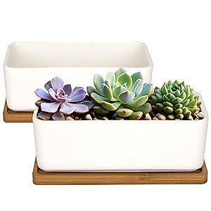 Ceramic Succulent Pots - 1 Pot - Short Rectangle - with Bamboo Tray - White - 6.3"