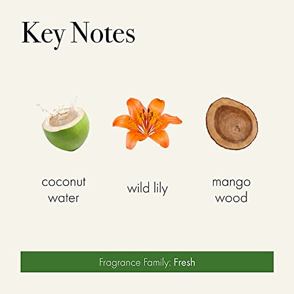 LAFCO New York Signature Candle, Jungle Bloom - 15.5 oz - 90-Hour Burn Time - Reusable, Hand Blown Glass Vessel - Made in The USA