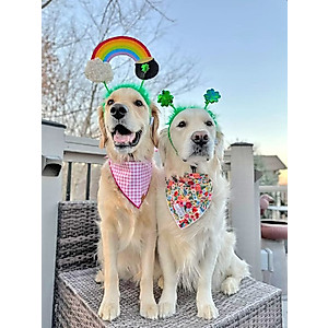 Midlee St. Patrick's Rainbow Pot of Gold Dog Headband