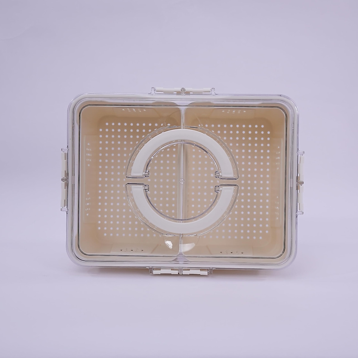 Fruit Storage Containers for Fridge 2 Compartment 4 Compartment Large Food Storage Container with Lids Handle Removable Drain Tray Berry Fruit Vegetable Fresh Saver for Travel Picnic (2 Compartment)