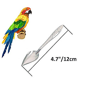 5 Pcs Bird Parrot Feeder Spoon Stainless Steel Milk Medicine Parrot Feeding Spoon for All Baby Bird Peony Cockatiel 4.7"