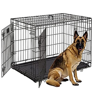 Pet Dog Crate, 48 Inches Large Dog Cage Double Door Folding Crate Metal Wire Dog Kennel with Divider Panel Leak-Proof Plastic Pan, Indoor Outdoor Basic Pet Crates for Medium Large Breed Dog XL XXL