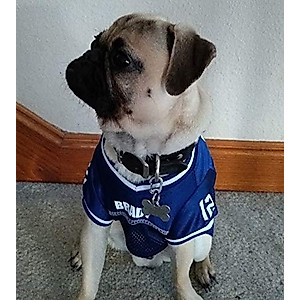 Klippy 2-Pack, 2 Pet Tag Quick Clips, Perfect for Dogs and Cats, Silver