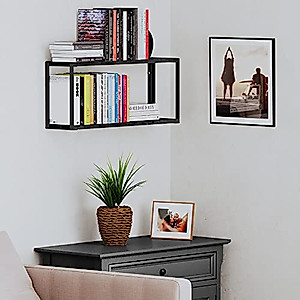 Wallniture Roca 24"x6" Floating Bookshelf Wall Mounted, 2 Tier Rustic Shelves for Living Room Wall Decor, Black Floating Shelves for Bedroom, Rustic Wood Shelf for Kitchen, Bathroom Storage Shelves