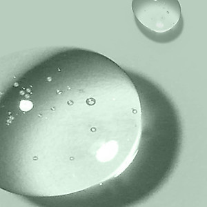 simplyO Heavenly Shampoo Wild Flower | Argan Oil for Dry and Damaged Hair | Paraben-Free, Sulfate-Free, 300ml (10.1 fl. oz)