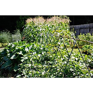 G-LEAF Sturdy Metal Garden Stakes 4 Ft Plastic Coated Steel Tube Plant Sticks for Tomato,Cucumber,Strawberry, Bean,Tree,Pack of 50