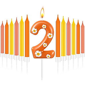 Flutesan 13 Pcs Birthday Candles Included 1 Pcs 2.4 x 1.3 Inches Daisy Flower Candle Birthday Candle and 12 Pcs Birthday Candles in Holders for Birthday Celebrations Party Decoration(Number 2)