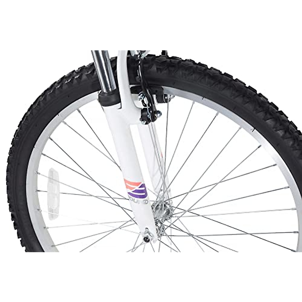 Dynacraft Magna Echo Ridge 24" Mountain Bike – Rugged and Durable Design, Perfect for Teens and Pre-Teens Learning to Ride, Sturdy and Easy to Assemble, Ideal for Young Adventurers