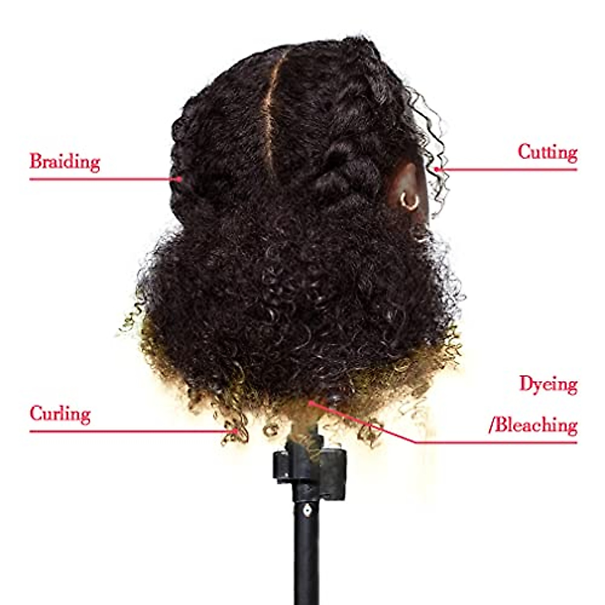 Rruaneal Afro Hair Mannequin Head With 100% Human Hair Curly Cosmetology Doll Head Stand for Display Hairdresser Practice Braiding Styling Training head mannequin（2# Black 10Inch）