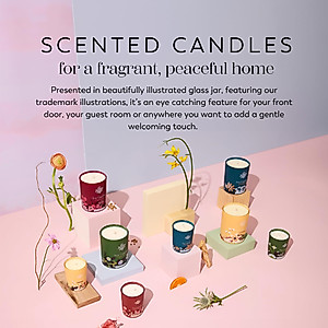 The Handmade Soap Company Natural Soy Wax Candle, Lemongrass & Cedarwood Scented Candle, 50 Hour Burn, Non Toxic Candles, Cruelty Free & Vegan Scented Candles, 7.4oz