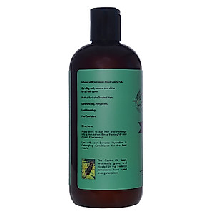Sunny Isle Jamaican Black Castor Oil Tea Tree Mint Shampoo 12oz | Extreme Hydration & Detangling | Hair Growth & Itchy Scalp