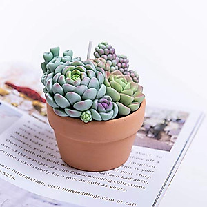Assorted Succulent Pot Scented Candle for Spa Home Decoration Wedding Gift