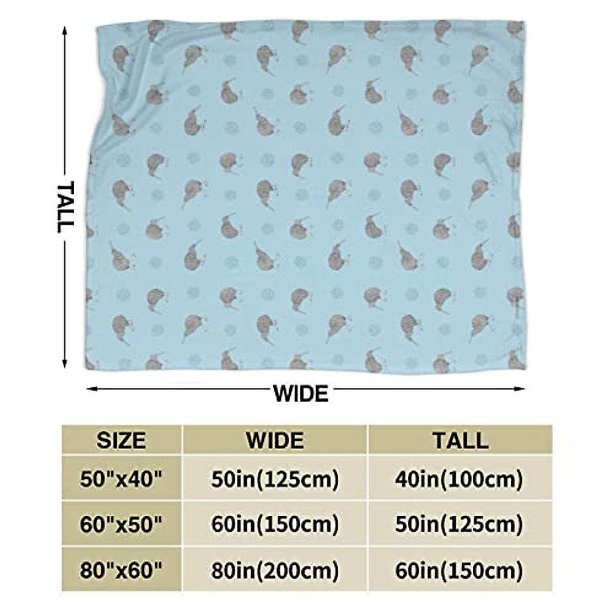 Kiwi Birds Indigenous New Zealand Throw Blanket Soft Plush Fuzzy Warm Fluffy Blanket Decorative Lightweight Fleece Cozy Sofa Bed Blanket for All Seasons 60"x50"