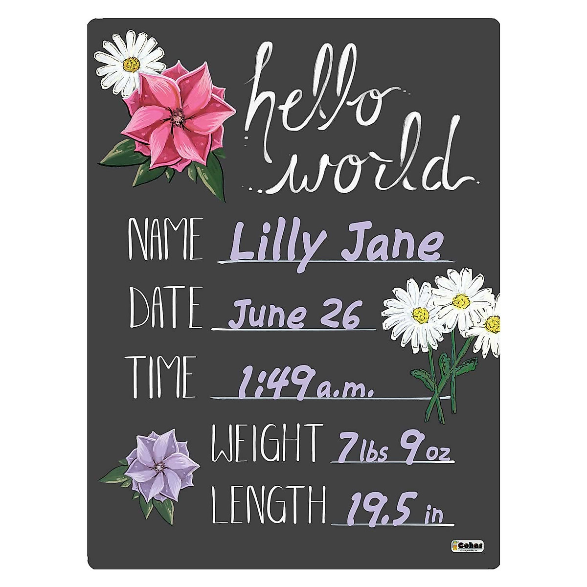 Cohas Hello World Newborn Baby Announcement Chalkboard Sign with Mixed Flower Theme, 9 by 12 Inches, Lilac Marker