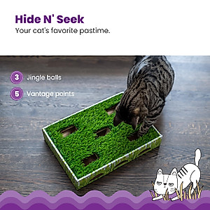 Catstages Grass Patch Hunting Box Cat Toy