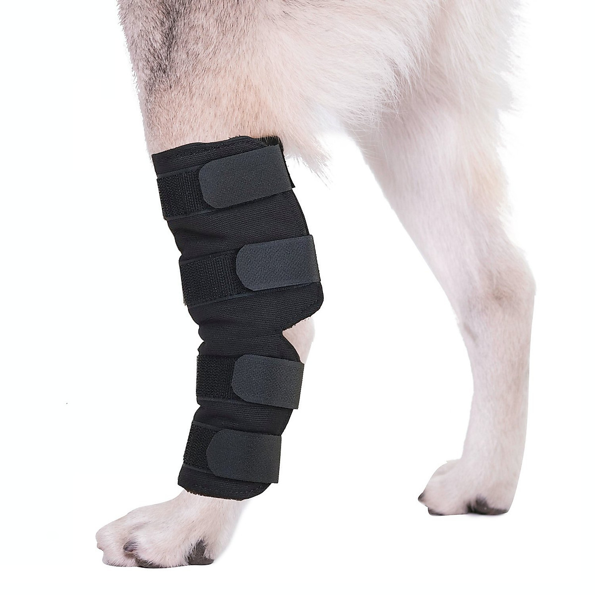 AGON® Dog Leg Braces for Back Leg wrap hock Compression Protects Wounds and Helps heal hind Legs Rear Ankle Joint, preventing Injuries, sprains Providing Stability for Dogs, Canines Arthritis (Small)