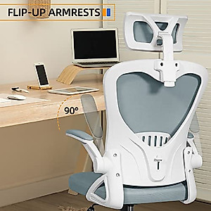 MUZII Office Chair with Headrest, Mesh Office Chair, Ergonomic Mesh Office Chair with Lumbar Support, Desk Chair with Wheels, Task Chair with Arms Executive Office Chair for Home Office, Grey