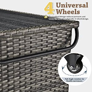 Danrelax Outdoor Storage Cabinet, Patio Storage Box with Handles, Waterproof Liner and 4 Universal Wheels, Fade-resistant PE Rattan Storage Box for Cushions, Gardening Tools, Outdoor Deck Box, Gray