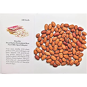 David's Garden Seeds Bean Dry Dwarf Taylor Horticultural Bean FBA-7652 (Multi) 100 Non-GMO, Heirloom Seeds