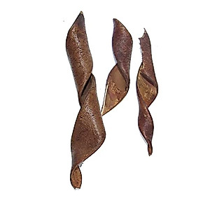 Box Lot of 30 Botanicals for Aquariums: Indian Almond Leaves, Cholla Wood, Birch Cones, Lotus Lafi Twistie Curve Pods, Pear Halves Pods, Coco Curls, Banana Sticks for Freshwater Blackwater Tannins