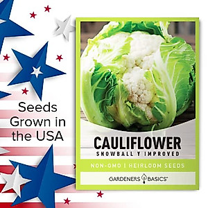 Cauliflower Seeds for Planting - (Snowball Y Improved) is A Great Heirloom, Non-GMO Vegetable Variety- 1 Gram Seeds Great for Outdoor Spring, Winter and Fall Gardening by Gardeners Basics