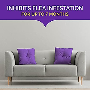 Hot Shot BedBug And Flea Fogger, Inhibits Flea Reinfestation, 2 Ounce Cans, 6 Count