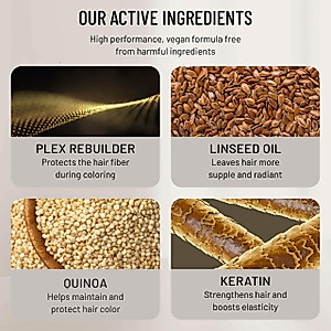 Il Salone Milano Plex Rebuilder Permanent Hair Color Cream - 12.01 Iced Platinum Professional Hair Dye Kit for a Natural Gloss & Glaze - Paraffin, Paraben, and Alcohol Free