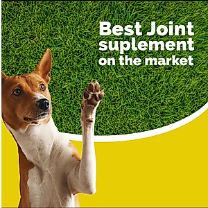 Artri-tabs Complex Dietary Supplement by Interfarma Corp | Cartilage Protection, Reduce Inflammation, & Joint Support for Dogs | with Glucosamine, Collagen, & MSM | Beacon Flavor | 60 Tablets.