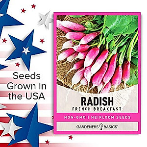 Radish Seeds for Planting - French Breakfast Variety Heirloom, Non-GMO Vegetable Seed - 2 Grams of Seeds Great for Outdoor Spring, Winter and Fall Gardening by Gardeners Basics