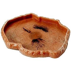 Zoo Med Reptile Rock Food Dish, Large, Colors May Vary