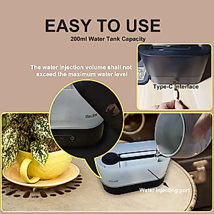 Flame humidifier for bedroom, Essential oil diffuser cool mist humidifiers for home mini air small personal humidifier, 200 ml Lasts Up to 10 Hours