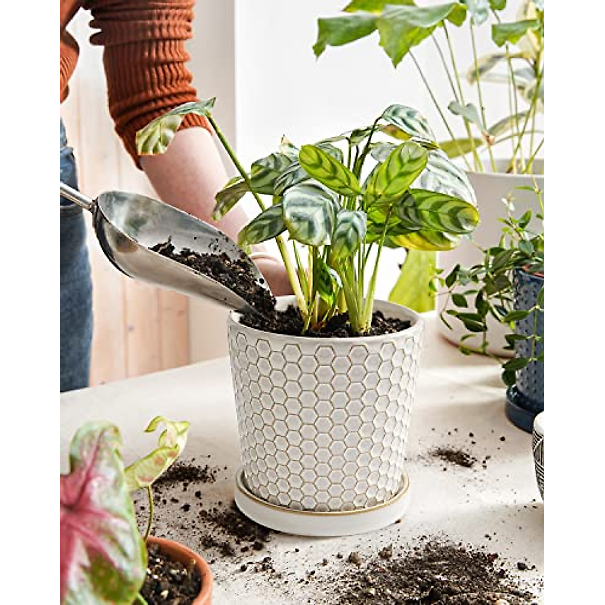 LE TAUCI Ceramic Plant Pots, 5.4 Inch Pots for Indoor Plants, Planters with Drainage Hole and Saucer, Flower Pots for Succulent, Snake Plants and Cactus, Set of 2, Reactive Glaze White