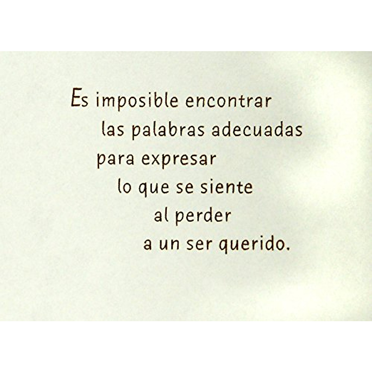 Hallmark Vida Spanish Sympathy Card (Foil Flowers) 0349RZM7021