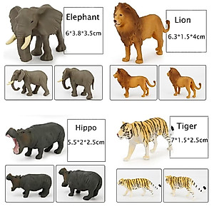 Montessori Animal Match Game Cards Marine Animal Matching Montessori Language Materials Toddlers Preschool Educational Learning Toys Language Materials Shape Sorting Toy
