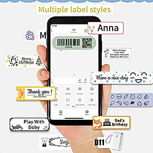 NIIMBOT Label Maker Machine with Tape D11 Portable Bluetooth Handheld Label Printer Included Multiple Templates Available for Phone Pad Easy to Use Home Office Organization USB Rechargeable-Green