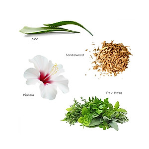 Gilchrist & Soames Zero% Unisex Shower Gel and Body Wash - 15.5oz - Light and fresh, Gently Cleansing, Zero Parabens, Sulfates, and Phthalates