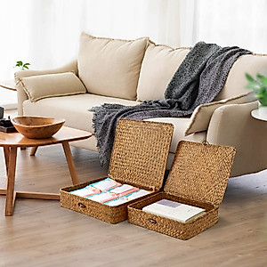 FOSSORH Set of 2 Flat Seagrass Storage Bins with Lid Wicker Storage Baskets for Organizing, Woven Shelf Organizer Bins Home Utility Organizer Box for Home & Office Supplies (Caramel)