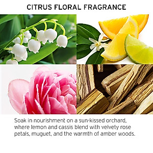 Fekkai Technician Color Flash Mask - 5 oz - Delivers Vibrancy & Hydration - Free of Sulfates, Parabens, Phthalates - Vegan, Cruelty-Free