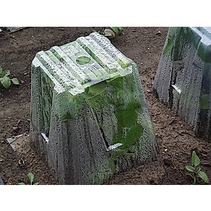 BOTARO GRO-Caps Reusable Plant Covers (30 Pack) Plant Protection from Frost, Cold Weather, Garden Insects, Pesticides, Rodents & Rabbits for All Your Plants, Vegetables & Flowers. Grow Organic