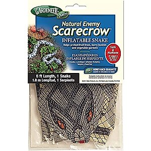 DALEN Inflatable Snake - Efficient Bird and Pest Deterrent – Safely Deters Birds – 6 feet Long …